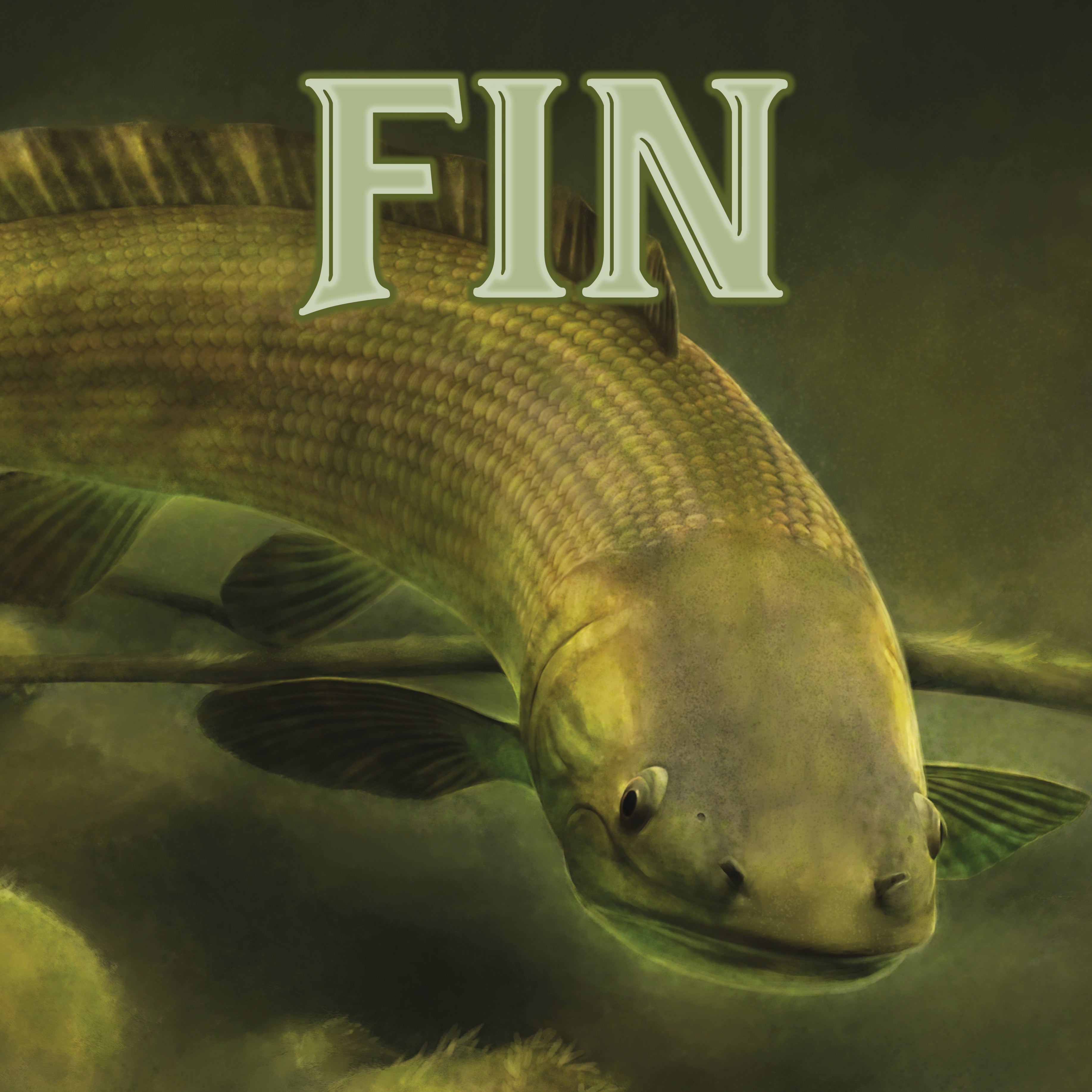 "FIN" Fish art – Fin & Floof